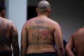 Las Maras Tattoos 3,584 Maras Salvatruchas Stock Photos, High Res